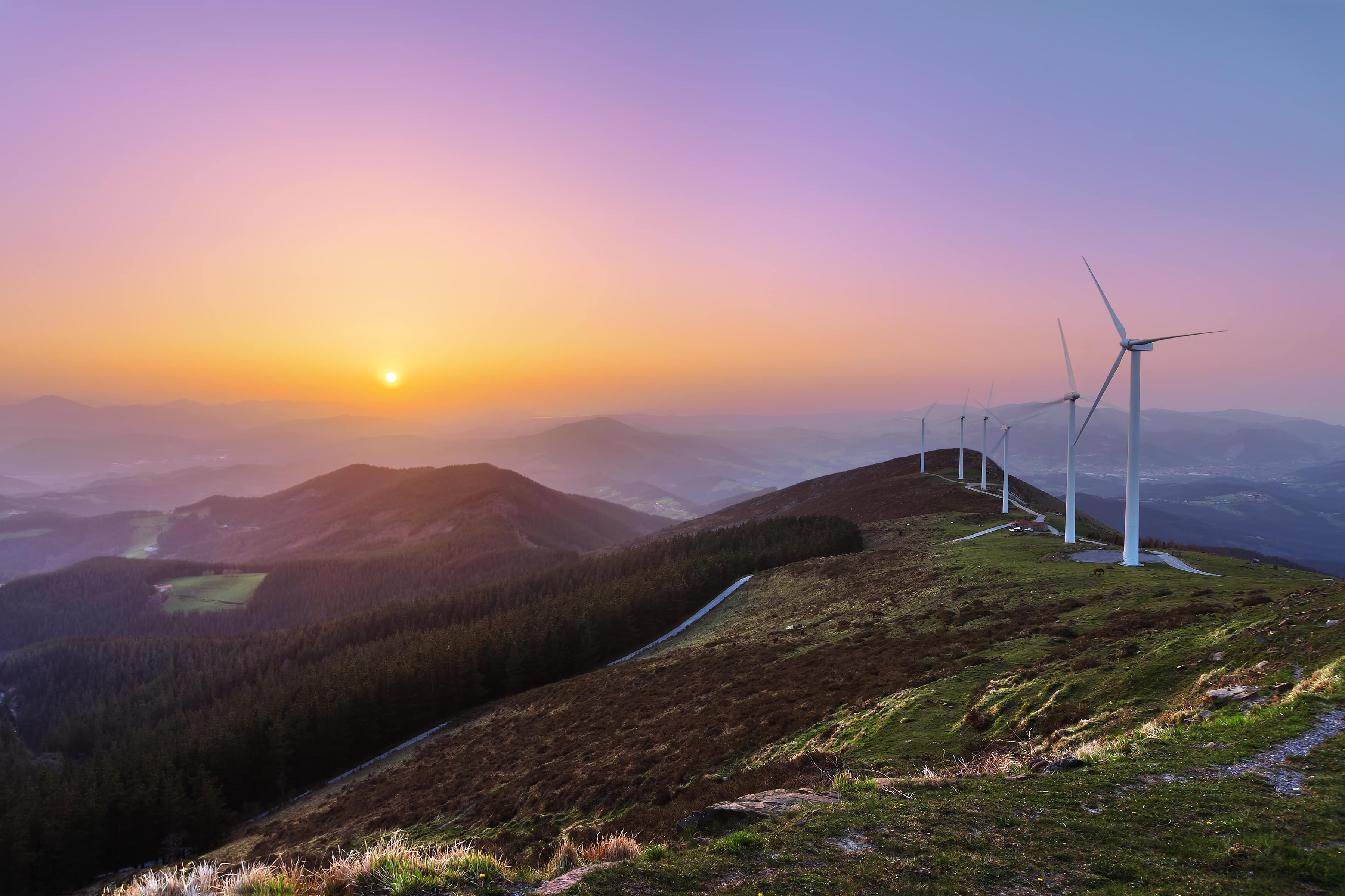 Global Market History And Outlook Of Smart Low Voltage Distribution